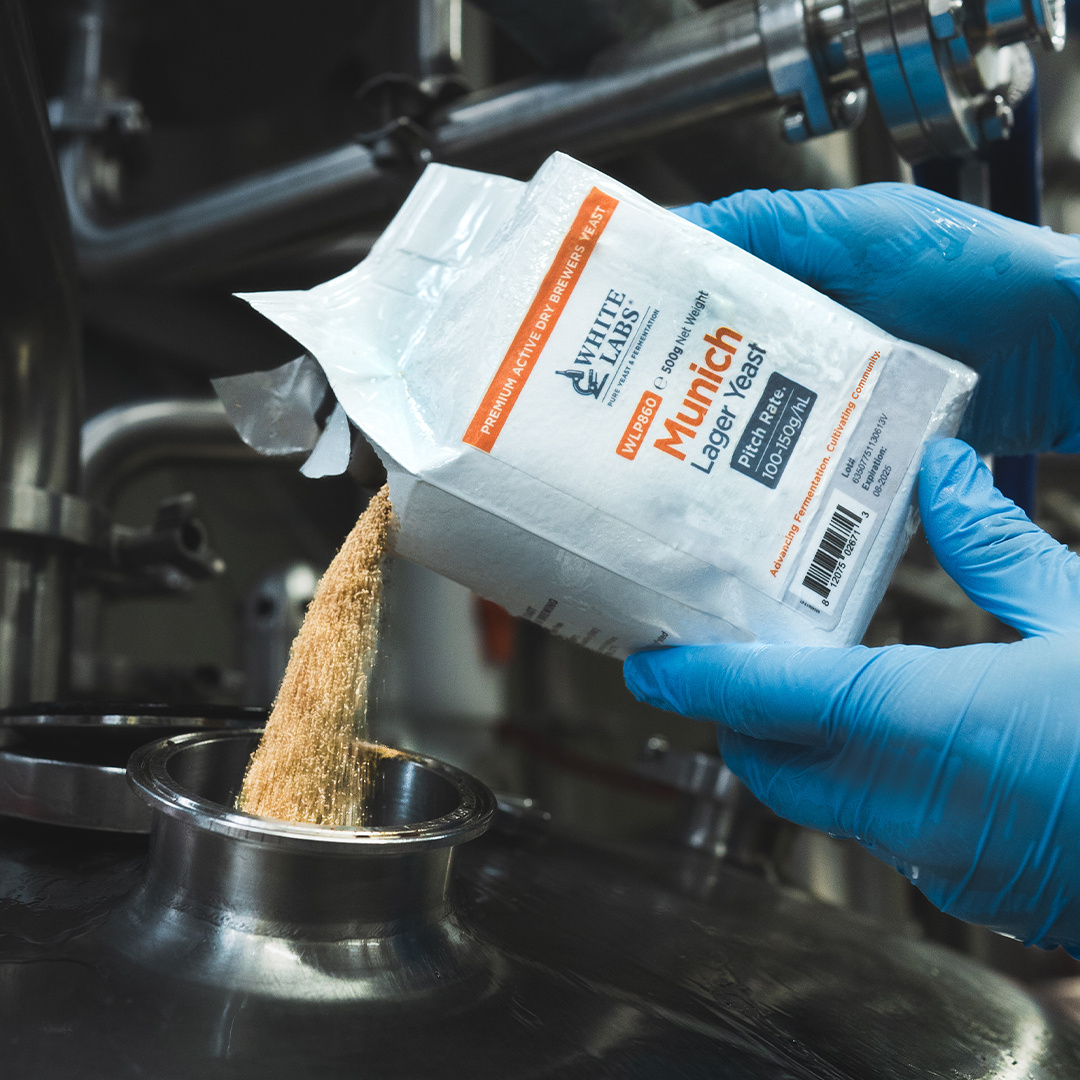 Premium Active Dry Yeast | White Labs